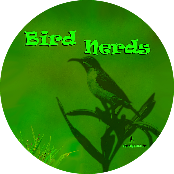 BirdNerdsPodcast | Instagram, Facebook | Linktree